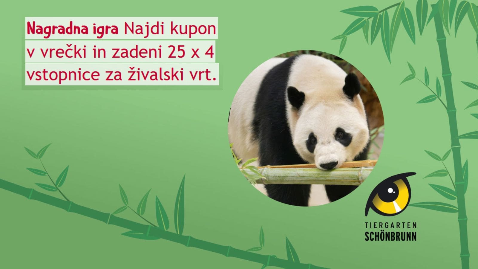 POM-BÄR Panda nagradna igra 2025
